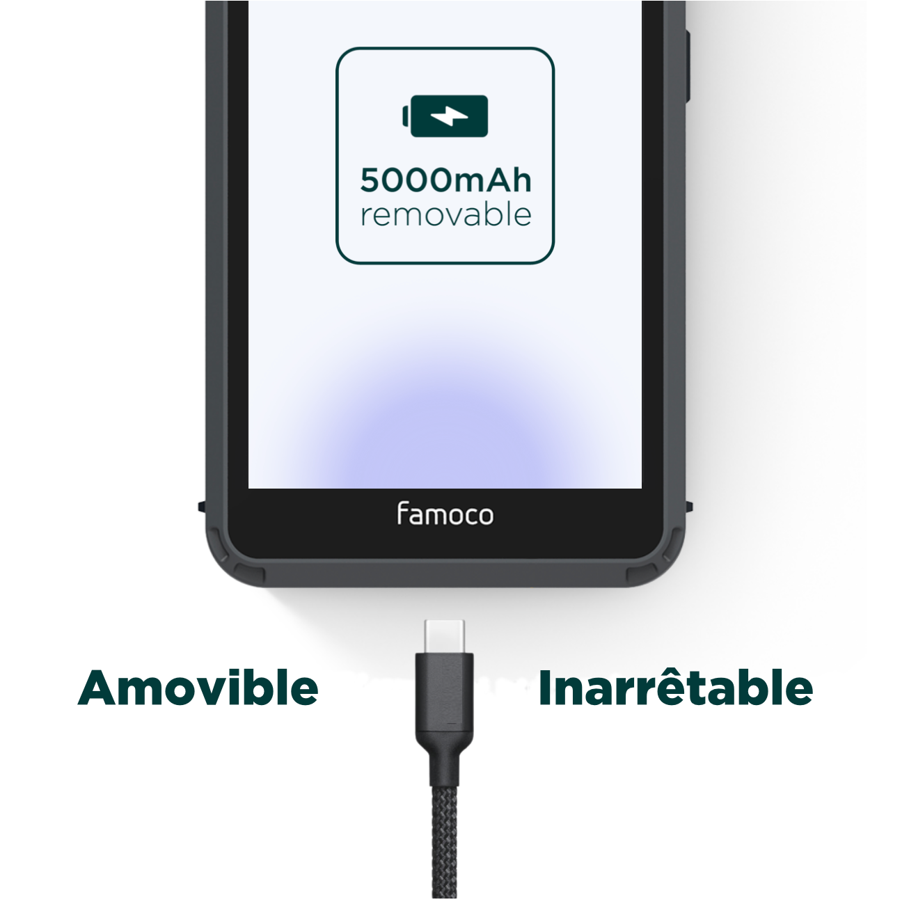 Famoco Touch - Famoco