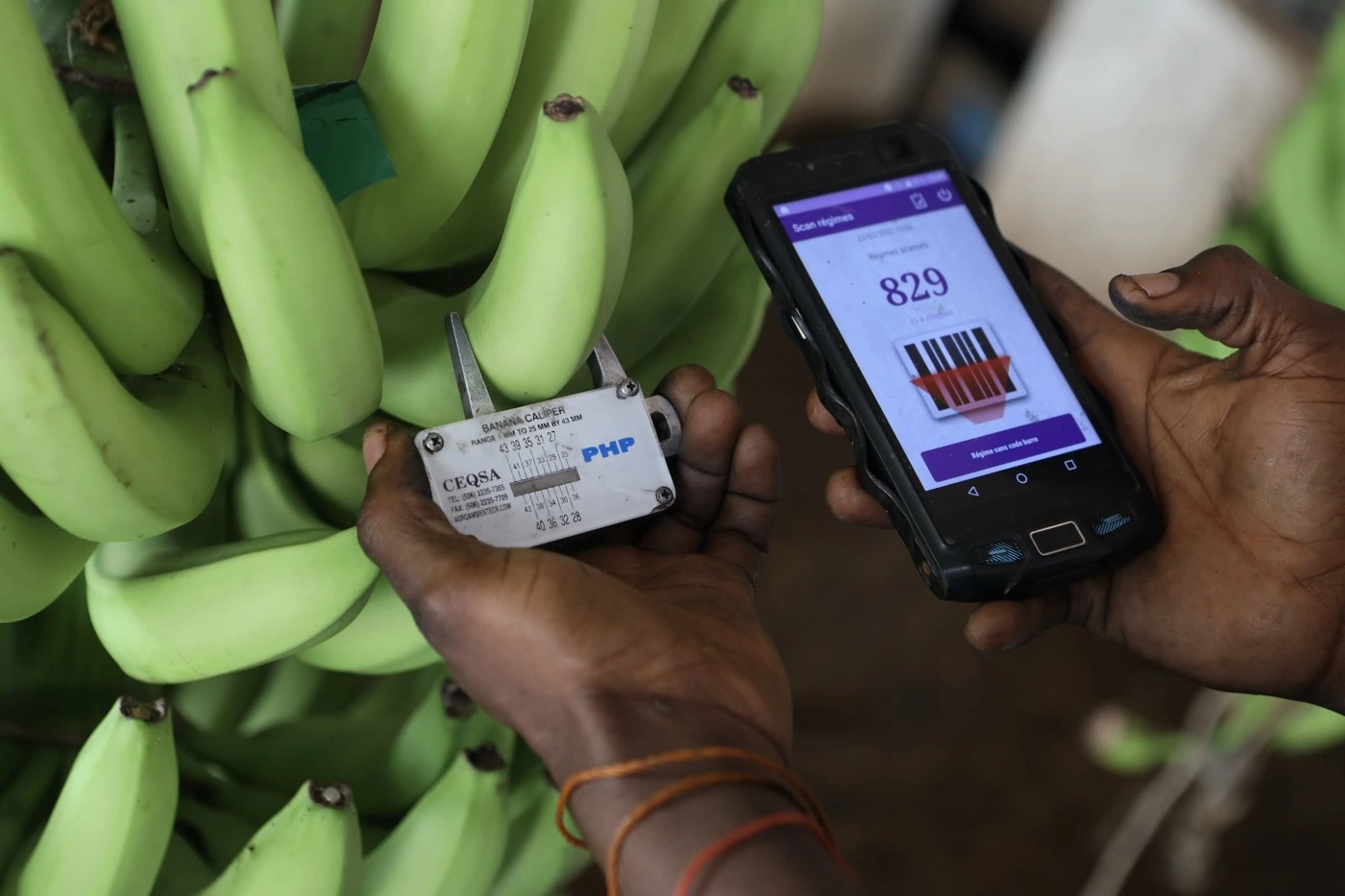 Farms Digital - Famoco